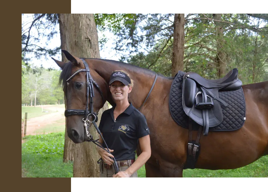 About – Irish Equine Imports